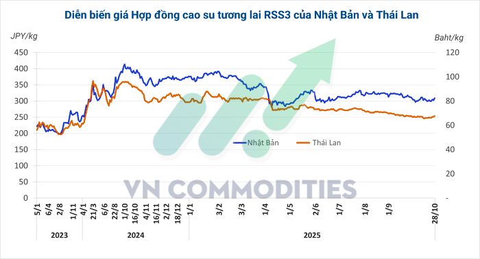 Giá cao su hôm nay 29/10/2025: Ổn định trong nước, tăng mạnh trên sàn ...